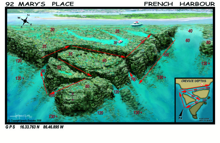 Diving Mary’s Place – Lust for Life and Adventure
