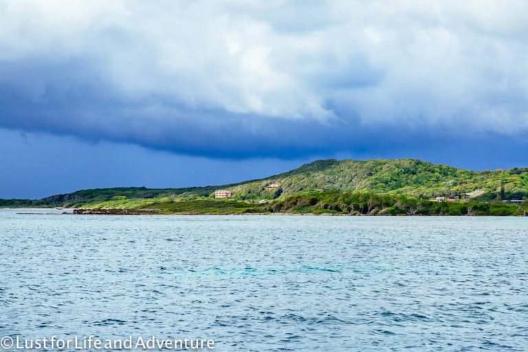 Diving Mary’s Place – Lust for Life and Adventure