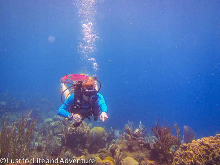 Diving Mary’s Place – Lust for Life and Adventure