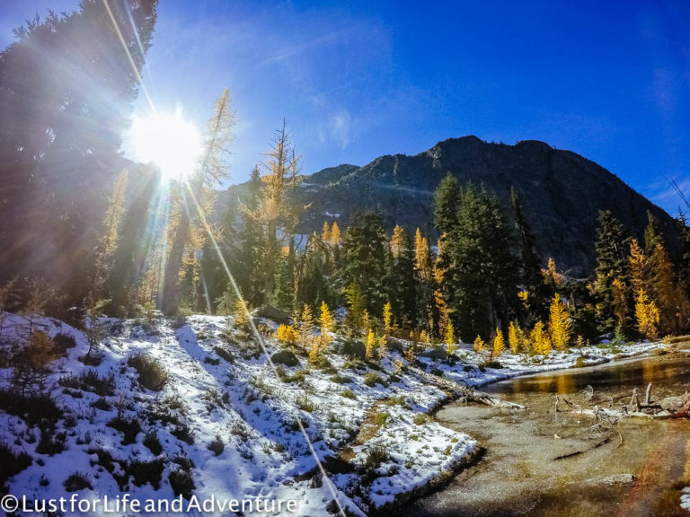The Larches! The Larches! – Lust for Life and Adventure